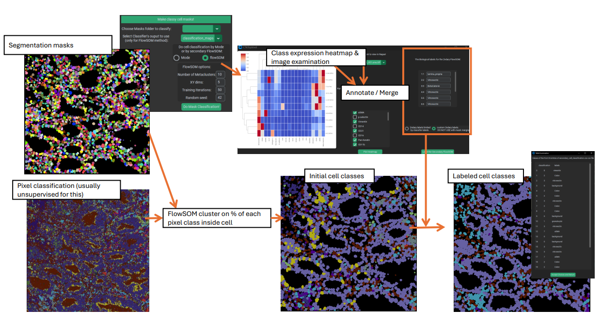 Using a Pixel Classifier — palmettobug 0.2.11 documentation